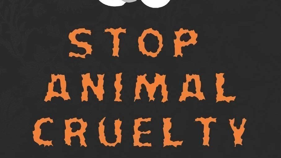 Petition · 1. To change #nomore50 2. To make a strict law against ...