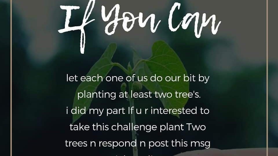 Petition · Only one tree if you can - India · Change.org