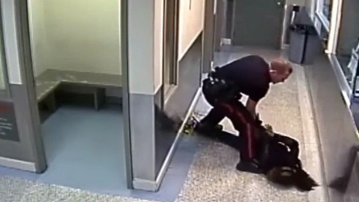 Petition · Fire Alex Dunn for Assault & Excessive Force - Calgary ...