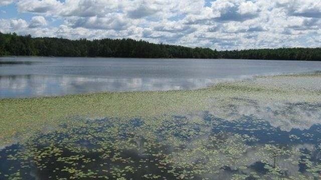 Petition · Stop the sale of Townline Lake Park - Rhinelander, United ...