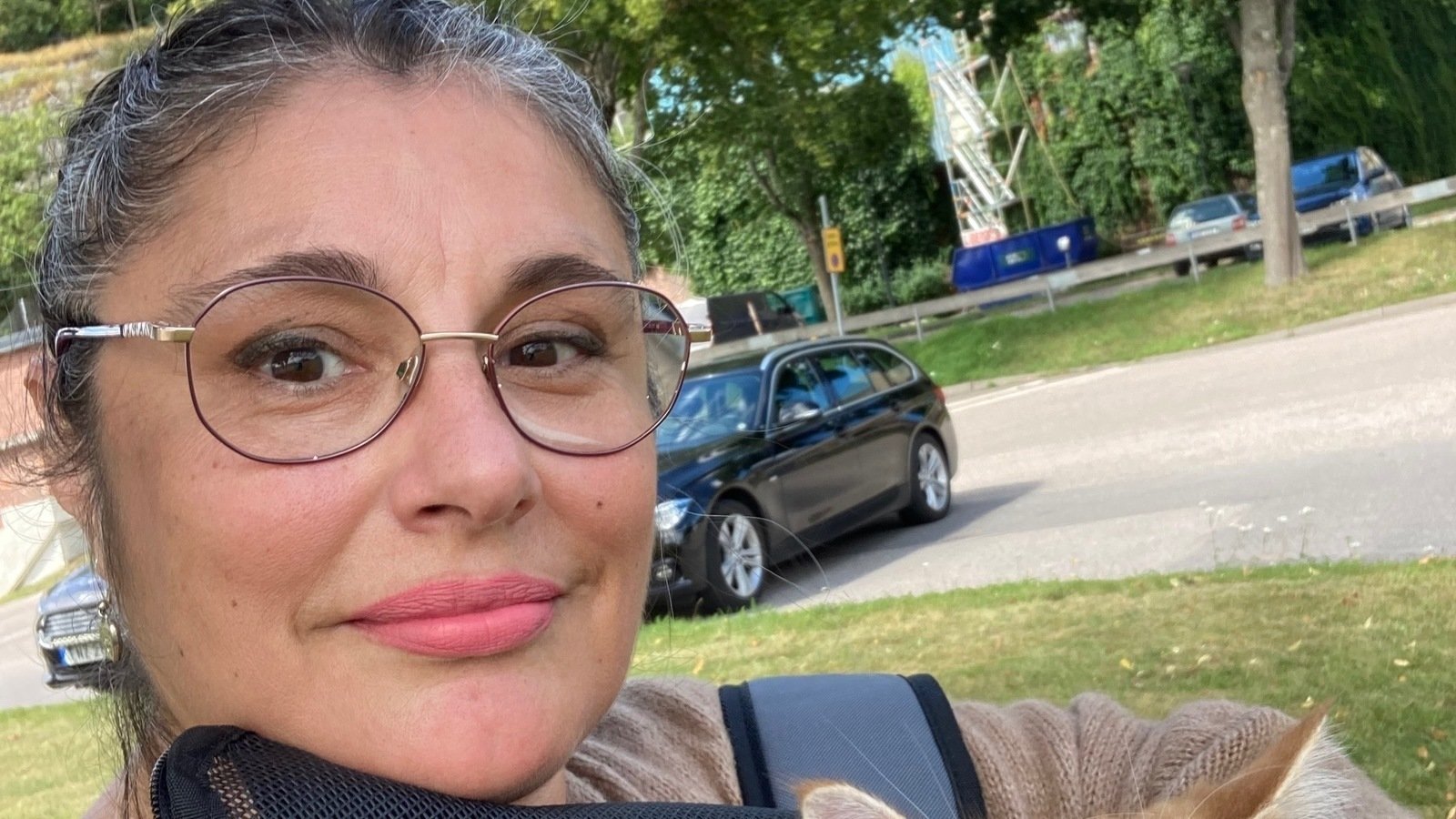 Petición · Salvemos las vacas del refugio la manada cantabra · Change.org