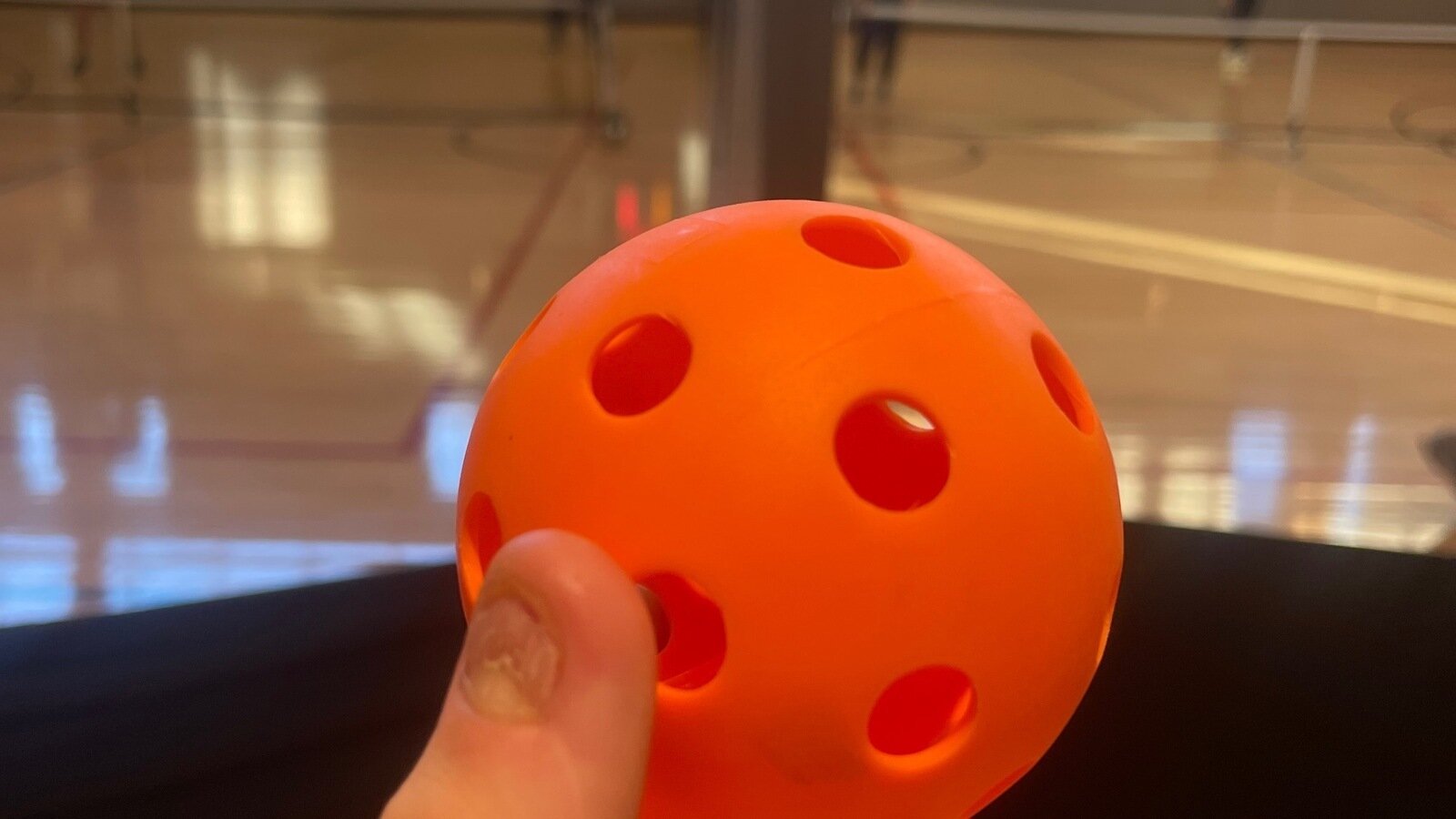 Petition · Brighten the Game: Bring ORANGE Pickleballs to Lubber Run ...