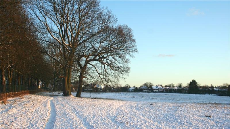 Petition · Support the proposal for Bushey Manor Field - United Kingdom ...