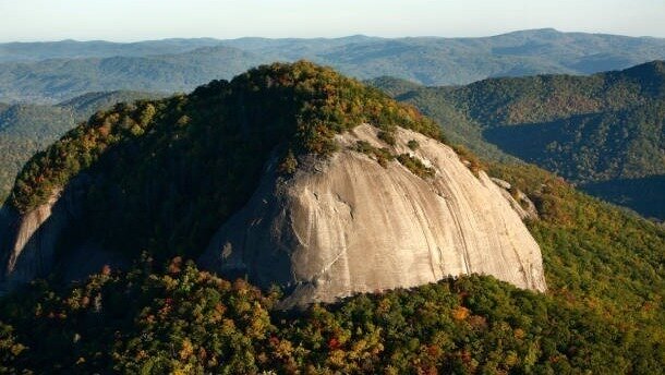Petition · Save Our Forest - United States · Change.org
