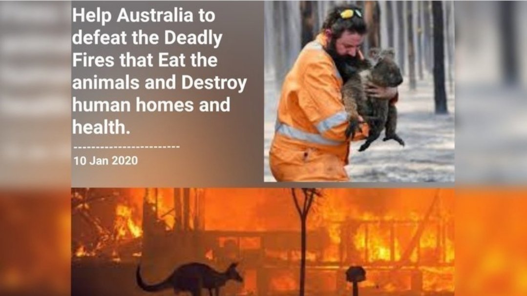 Petition · Put an END to the Australian Bushfires: provide aid and ...