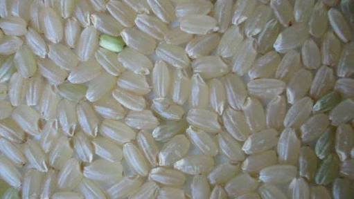 Petition · Prevention of the Penetration of Fake Rice in the ...
