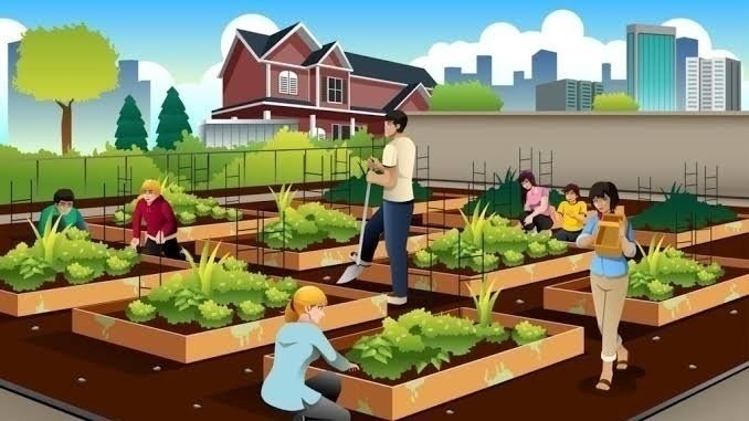 Petition · Maclean community garden - MacLean, Australia · Change.org