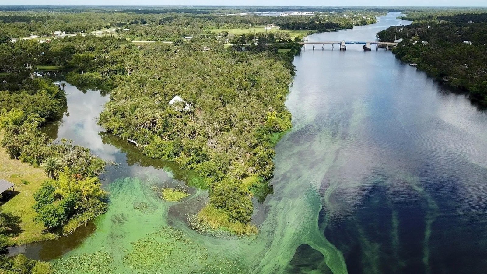 Petition · Restore the Everglades and clean our water! - Cape Coral ...