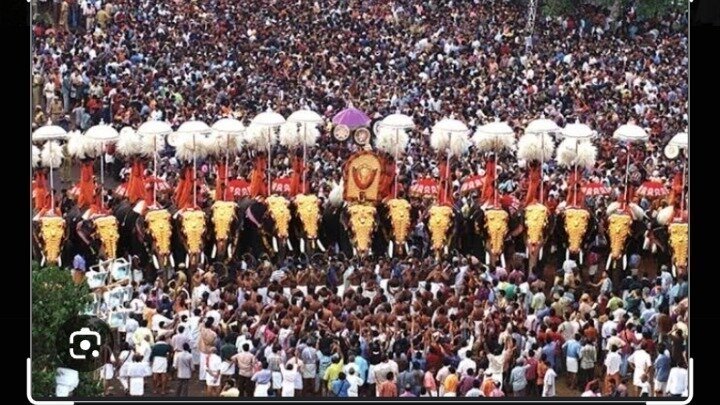 Petition · Stop torture and exhibition of elephants during PM Modi's ...