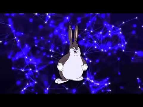 Petition · Make a Big Chungus Movie - Australia · Change.org