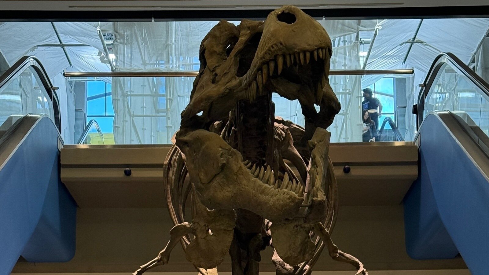 Petition · Bring Back Rexy - United States · Change.org