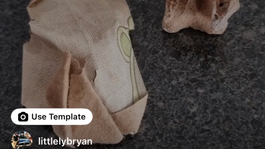 Petition update · Presently Bryan and Brad have gone back in search of ...