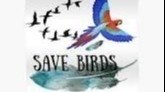 Petition · Save the birds. - India · Change.org