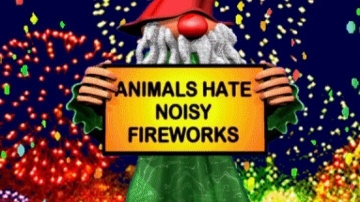 Petition · BAN ALL FIREWORKS WHICH ARE NOT FROM A ORGANISED DISPAY ...