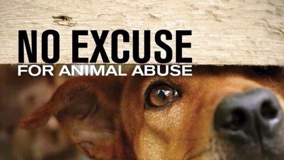 Petition · STOP ABUSING ANIMALS - Philippines · Change.org