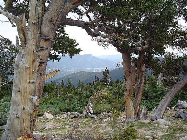 Petition · Protect Baca National Wildlife Refuge From Oil Exploration ...
