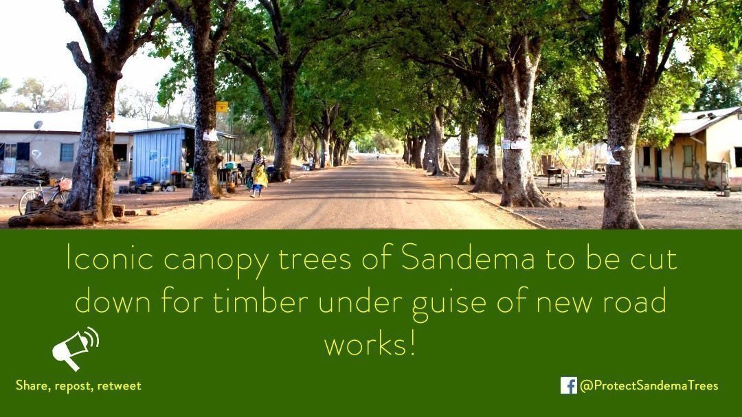 Petition · Endangered Signature Trees of Sandema, Ghana - Ghana ...