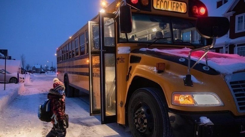 Petition · Let parents decide if their child should attend school ...