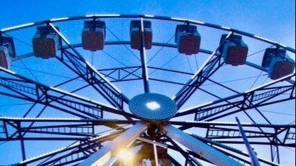 Petition · Improve the consistent accessibility of theme parks for ...