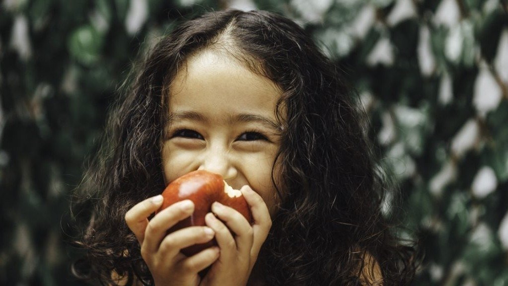 Petition · Put An End to Never-Ending Food Insecurity: Improve Food ...