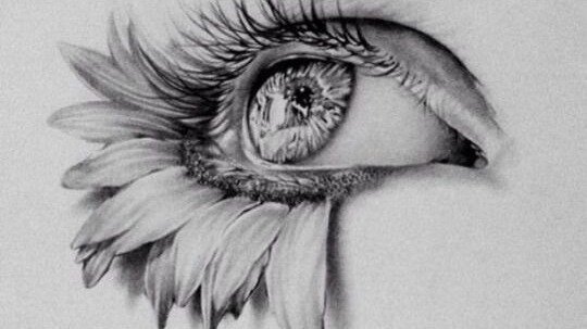 Petition · Demand Reform and Accountability in Blount County's ...