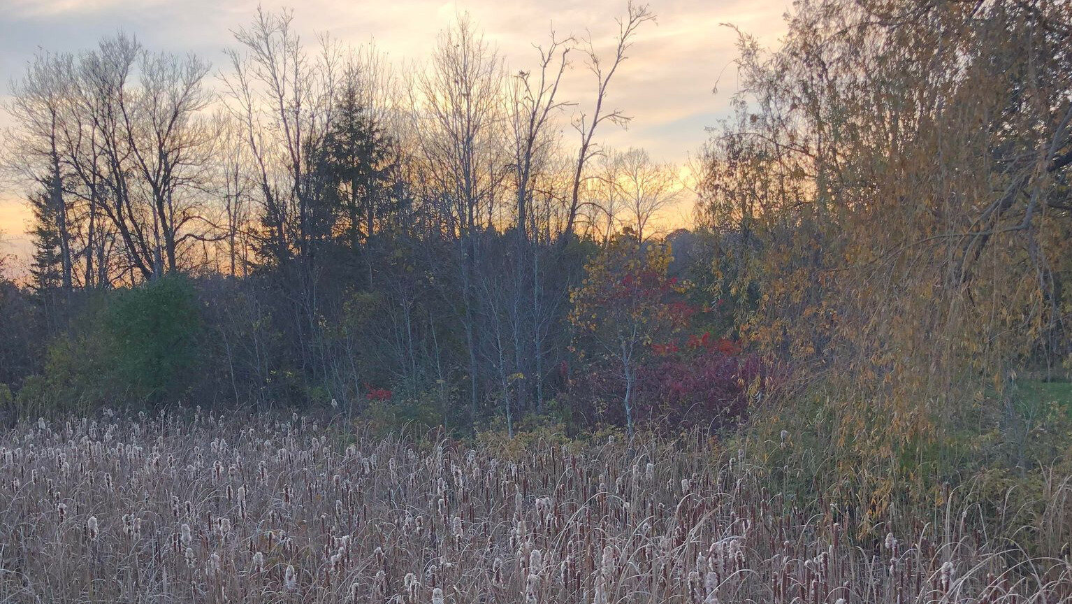 Petition · Dites NON au chemin illégal à Farm Point - Say NO to Illegal ...