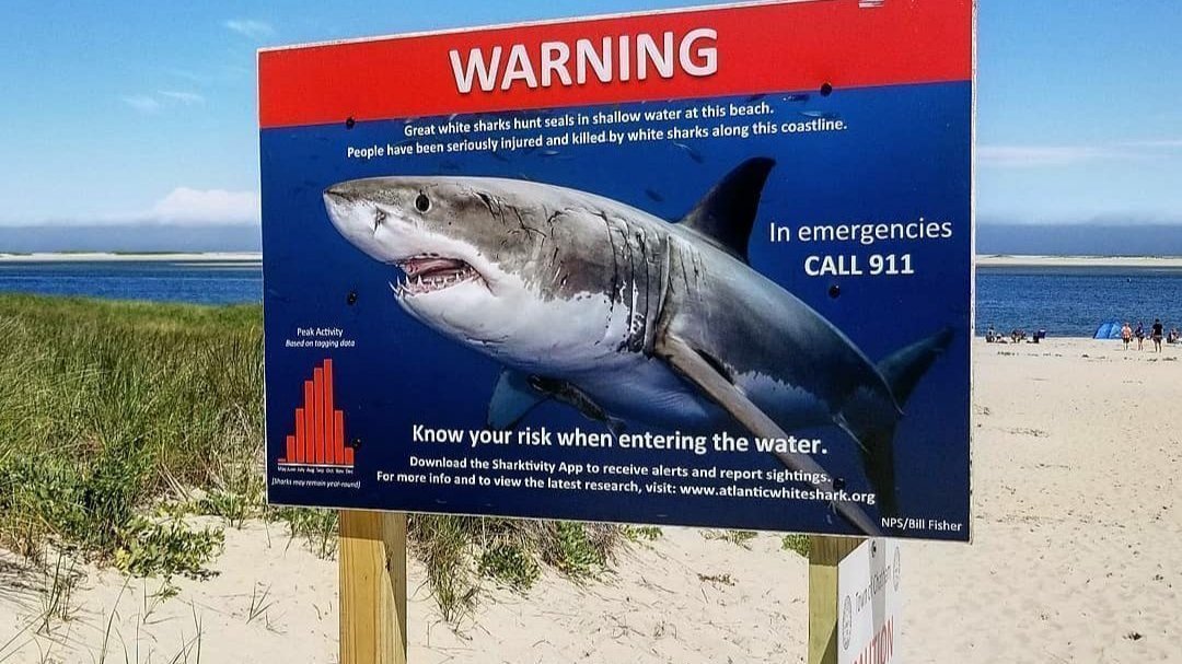 Petition · White Shark Safety and Awareness signs on South Shore ...