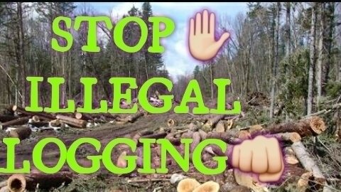 Petition · STOP! ILLEGAL LOGGING - Philippines · Change.org