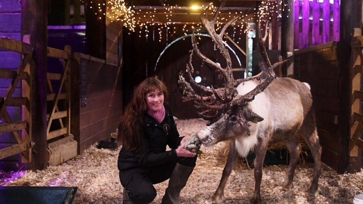 Petition · Save the Somerset Reindeer Farm - United Kingdom · Change.org