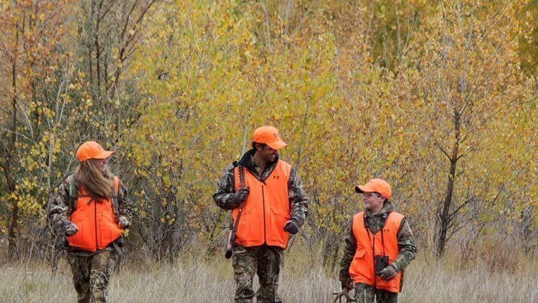 Petition · Support the NB Gov changes to hunting regs for additional ...