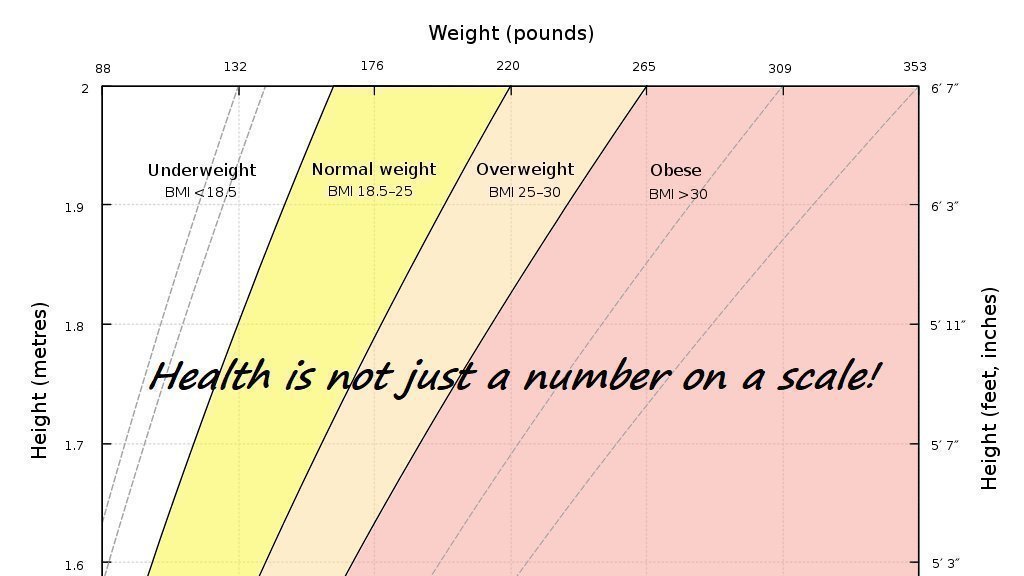 Petition · (Body Mass Index) BMI Is Not Science. Help Eliminate The NHI ...
