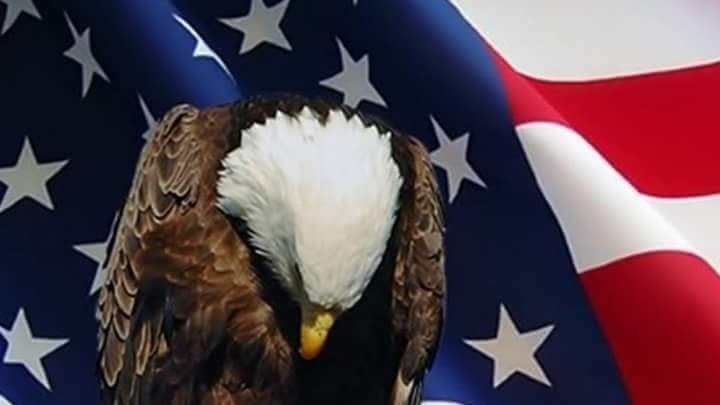 Petition · Supporting Freedom - Dallas, United States · Change.org