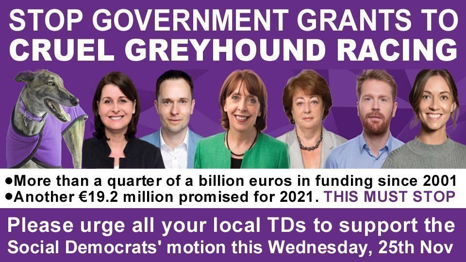 Petition update · Urge TDs to back Social Democrats’ motion to stop ...