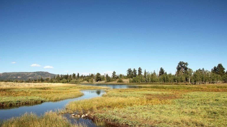 Petition · Preserve the natural beauty of Kolob Mountain, in Virgin ...