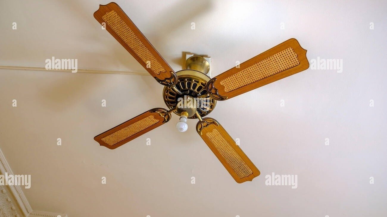 Petition · Add ceiling fan emoji - Australia · Change.org
