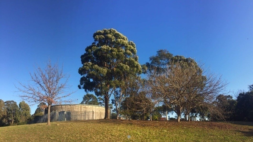 Petition · Stop telecommunications tower at Caloola Road Reserve ...