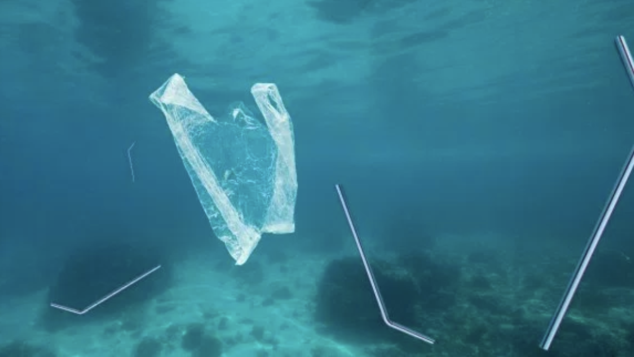 Petition · Stop Straws is here to help inform those around us about the ...