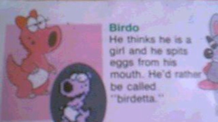 Petition · Call "Birdo" by Birdetta to stop deadnaming her - United ...