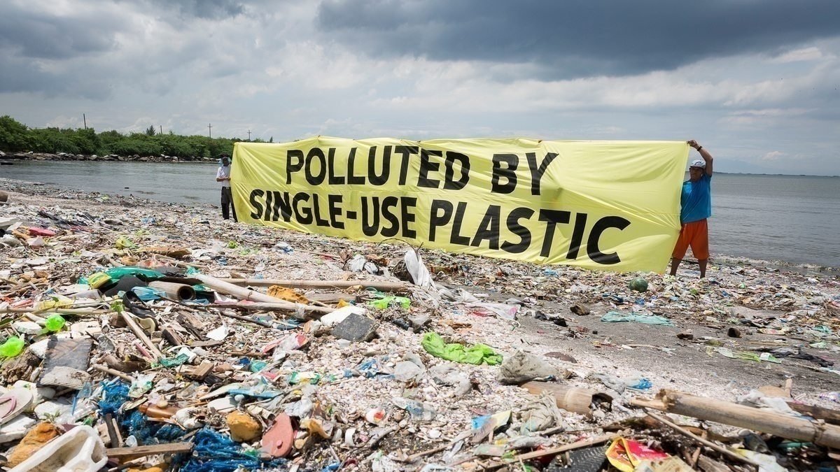 Petition · Stop Single Use Plastic In Schools By Evie Brett, Tilly ...