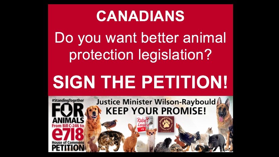 Petition update · HAVE YOU SIGNED IMPORTANT ANIMAL PROTECTION PETITION ...