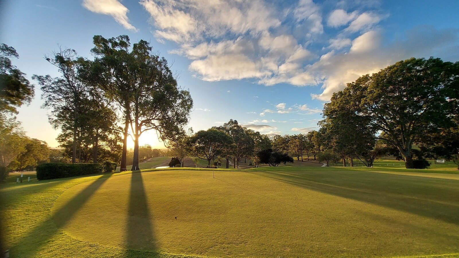 Petition · Demand a Vote of No Confidence in Pine Rivers Golf Club's ...