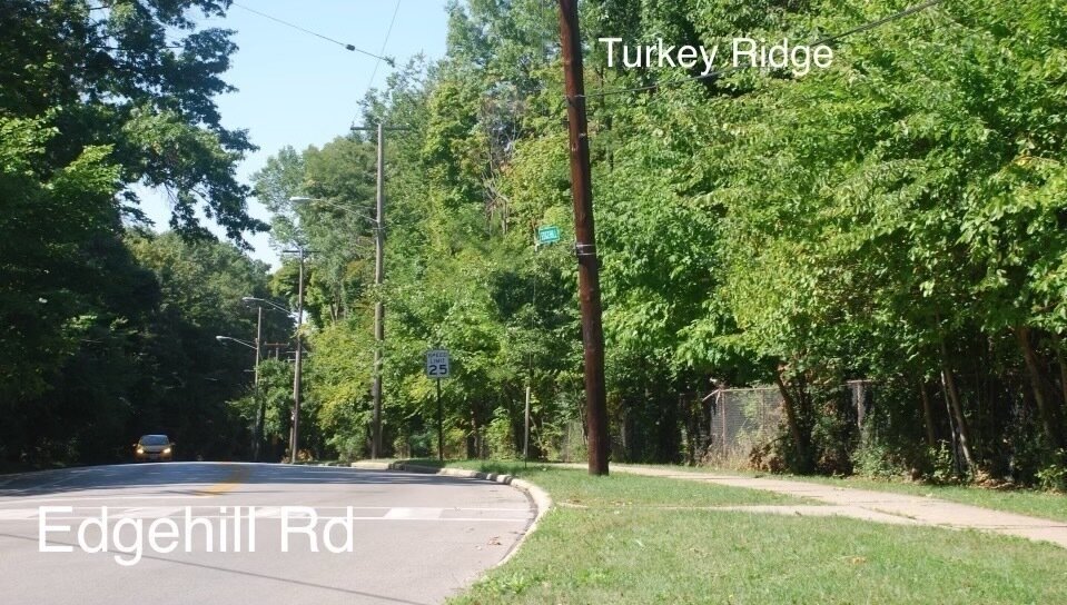 Petition · Demand Action: Preserve Turkey Ridge Tree Canopy - Cleveland ...