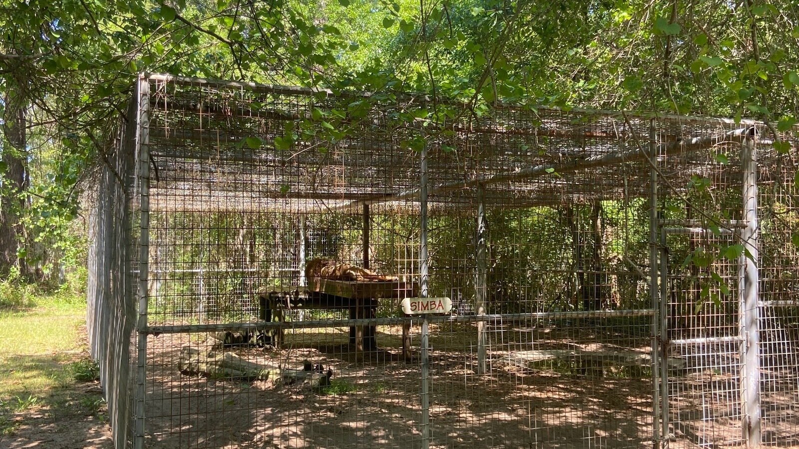 Petition · Relocate Tregembo Animal Park's Animals to a Credible ...
