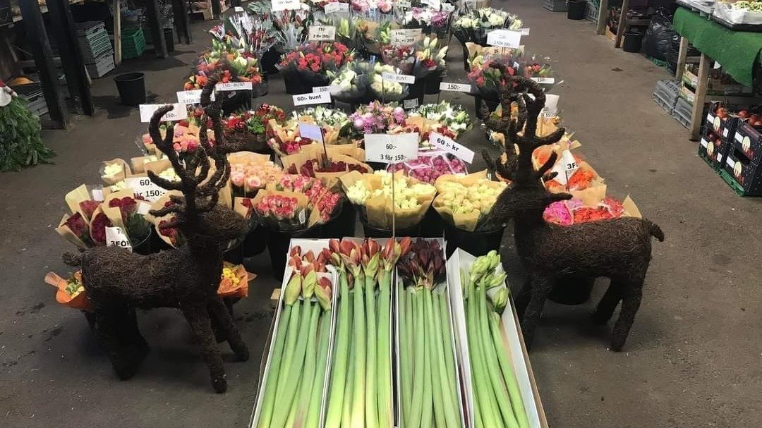 Petition · Save Ali's in Lomma - Sweden · Change.org