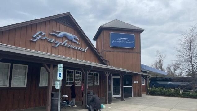 Petition · Implement a Two-Dog Policy at All Greyhound Stations ...