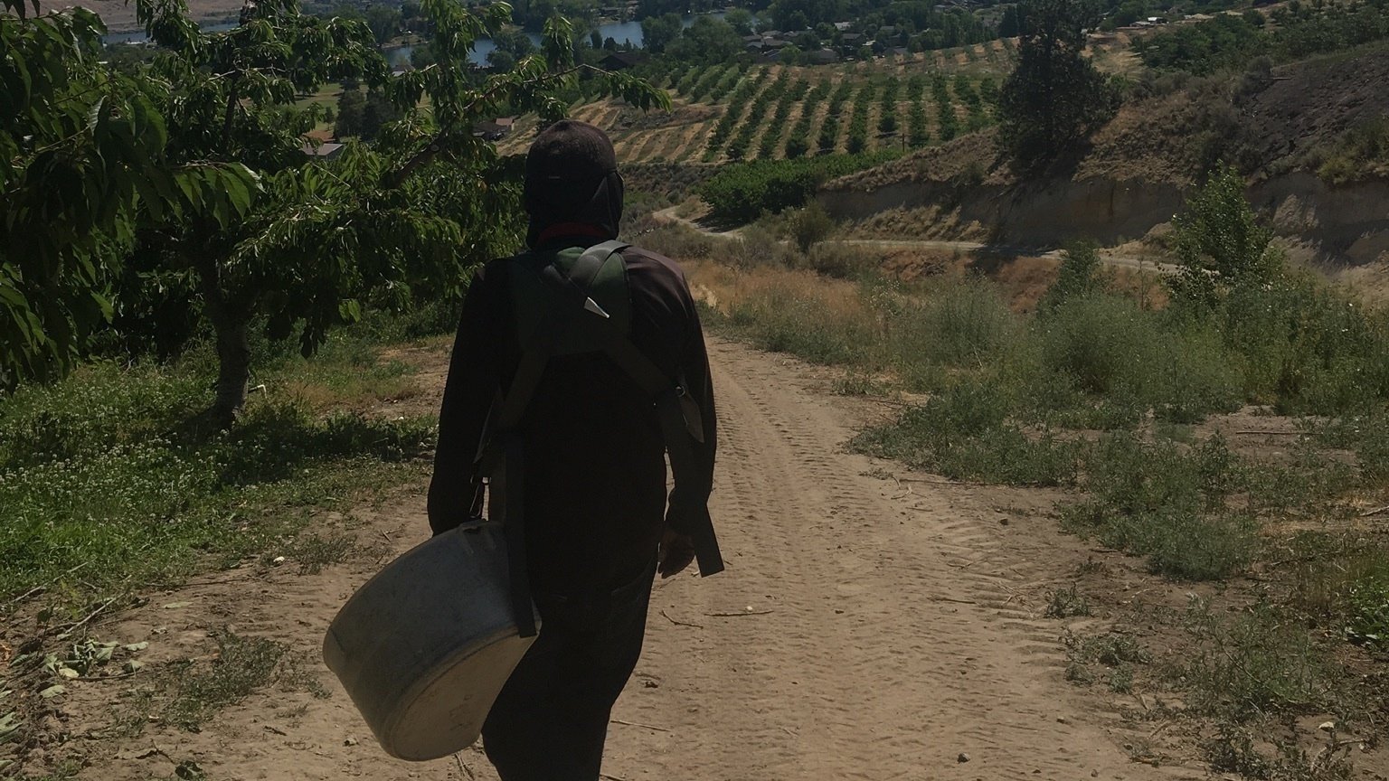 Petición · hazard pay and sick leave for agricultural workers - Estados ...