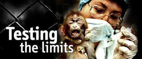 Petition · Create a law that bans animal testing - United States ...