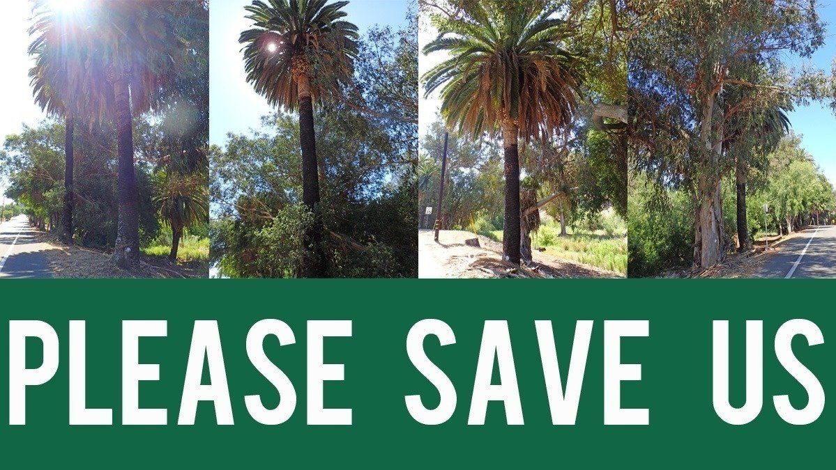 Petition update · PLEASE SAVE US! · Change.org · Change.org