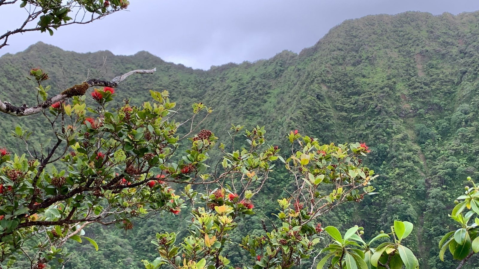 Petition · Environmental education policy for the Hawaii tourism ...