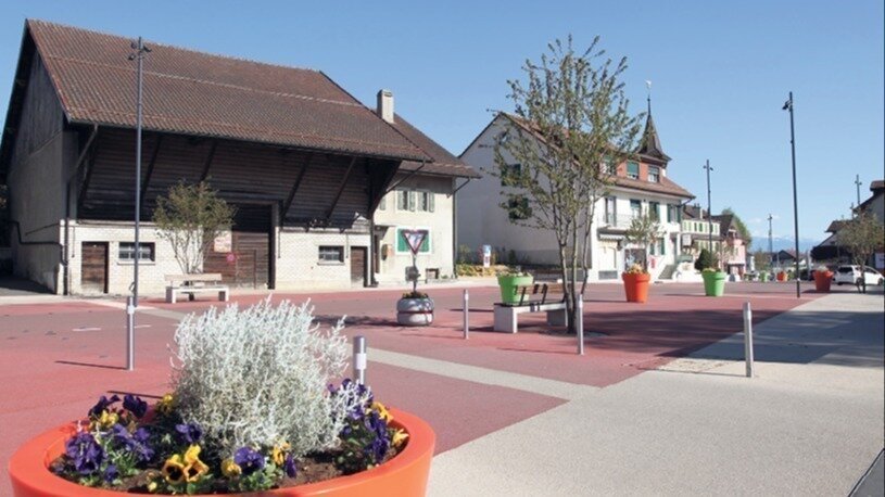 Pétition · Demande d'actions pour la protection des piétons dans la ...